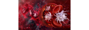 NOUL Blog | Understanding Thrombocytosis and Platelet Disorders: Key ...