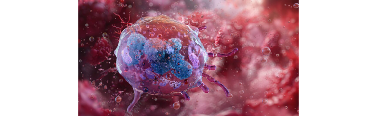 NOUL Blog | Understanding Thrombocytosis and Platelet Disorders: Key ...