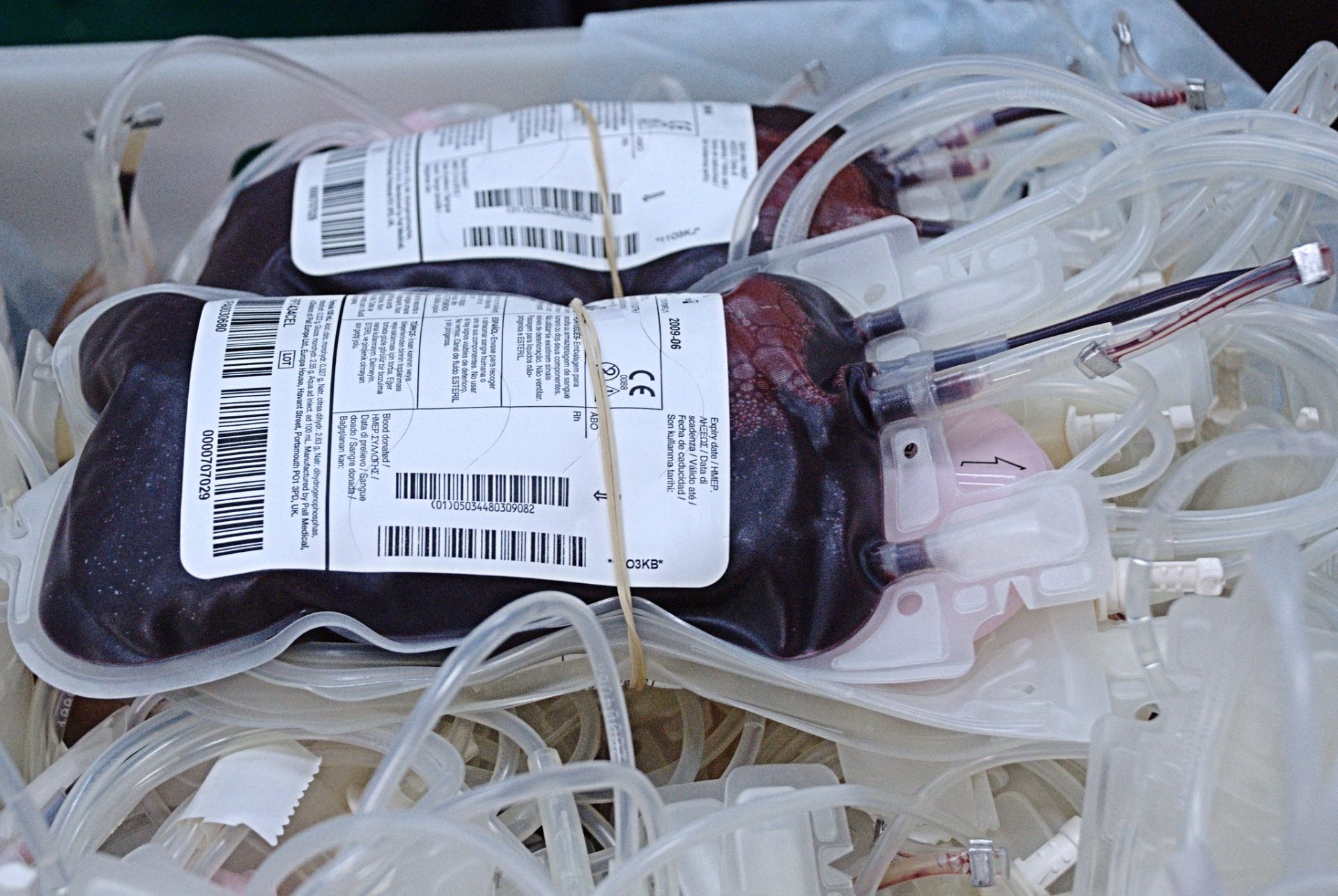 NOUL Blog | Malaria and Blood Donation Testing: Key Steps for a Safe ...